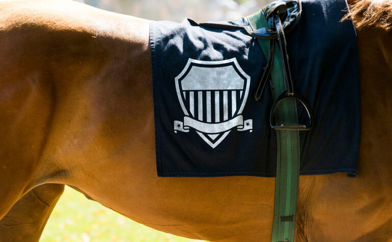 Save the Date Homecoming 2025 | The Kentucky Colonels